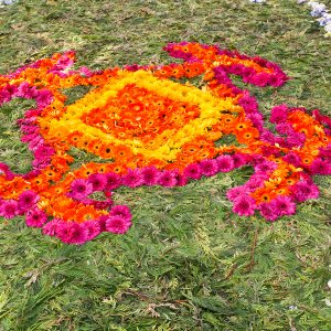 Corpus Christi Procession_Caminha_Streets-11 | DPReview Forums