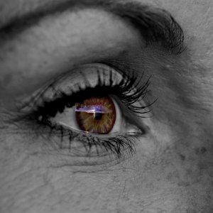 up3 čb hdr davi2-43 950 | DPReview Forums