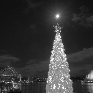 Rare Full Moon on Christmas 2015 | DPReview Forums