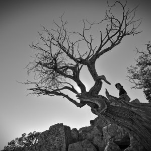 Emory Peak | DPReview Forums