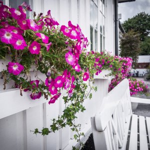 Norway_Oslo_034 | DPReview Forums