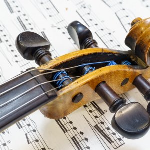 Sam party | DPReview Forums