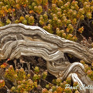 south-atlantic | DPReview Forums