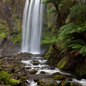 Another Falls | DPReview Forums