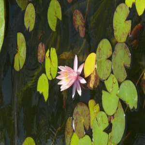 architecture-israel | DPReview Forums