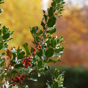 175 10-05 plaza | DPReview Forums