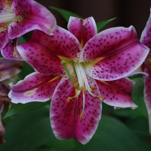 K1MG0510.1 | DPReview Forums