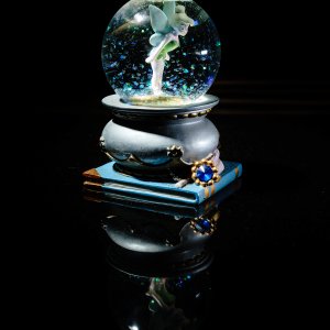 Trapped in Glass | DPReview Forums