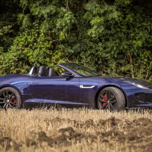 Road Trip - Suffolk 2016-0288 | DPReview Forums