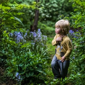 58mm | DPReview Forums