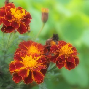 Autumn | DPReview Forums