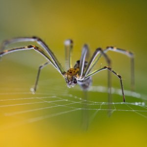 Upside down | DPReview Forums