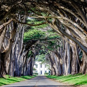 point-reyes | DPReview Forums