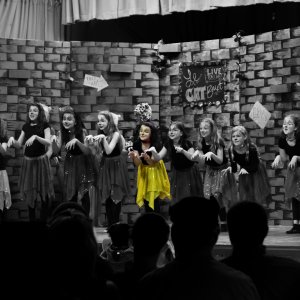 silly | DPReview Forums