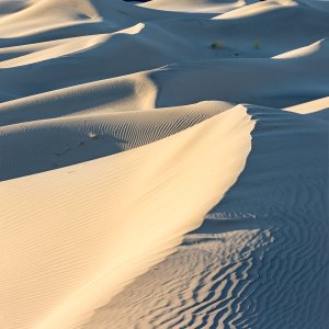 eureka | DPReview Forums