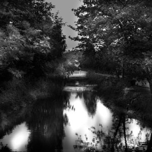 white bridge (1 of 1) | DPReview Forums