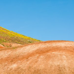 Painted Hills #12 | DPReview Forums