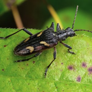 omd-em5 | DPReview Forums