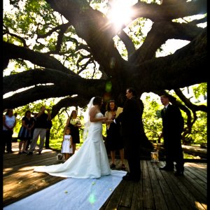 barcelona-46through13-2010 | DPReview Forums