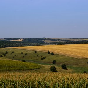 ukrainian fields | DPReview Forums