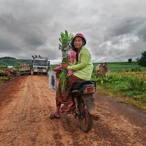 cloudy day, Thayat Pu Village, Pindaya, Myanmar | DPReview Forums