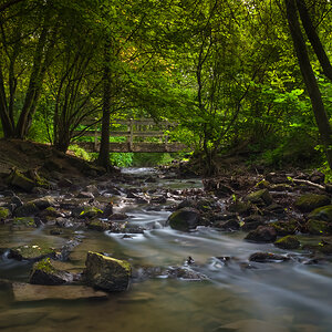 The Bridge | DPReview Forums