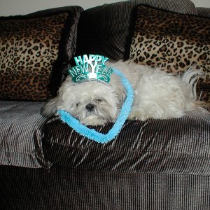 P1010002 | DPReview Forums