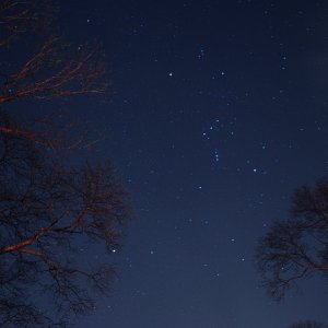 orion constellation | DPReview Forums