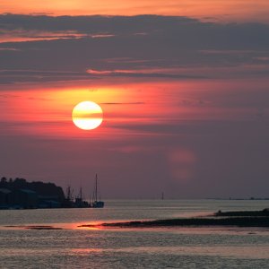 ladner | DPReview Forums