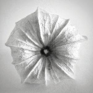 38_insta_6 | DPReview Forums