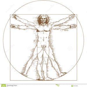 vitruvian-man-leonardo-da-vinci-vector-illustration-35721968 | DPReview ...
