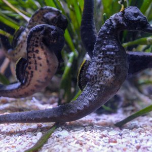 canon-ef-m-28mm-f35-macro | DPReview Forums