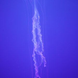 canon-ef-m-28mm-f35-macro | DPReview Forums