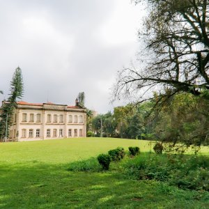 CRMacedonio-21092018-1-3 | DPReview Forums