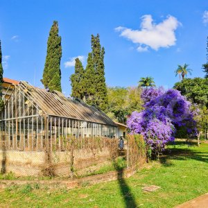 CRMacedonio-21092018-1-3 | DPReview Forums