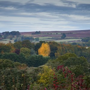 pentax-dfa100-macro | DPReview Forums