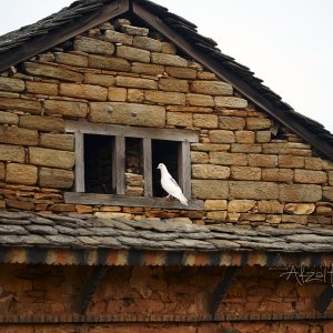 do not keep me waiting... | DPReview Forums