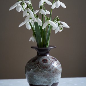 pentax-dfa100-macro | DPReview Forums