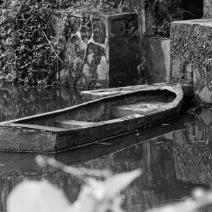 V3-964_DxO | DPReview Forums