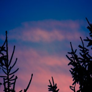 Sunset from Home | DPReview Forums