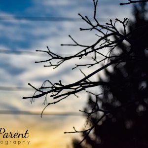 Sunset from Home | DPReview Forums