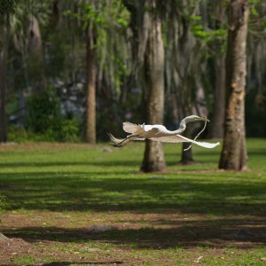 winter-park | DPReview Forums