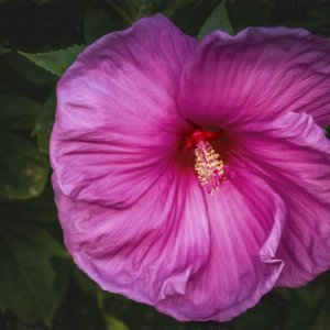 nebraska | DPReview Forums