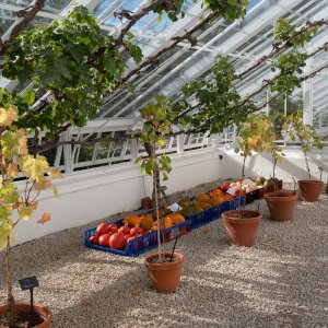 Clumber Park Walled Garden 7 | DPReview Forums