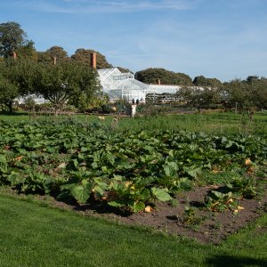 Clumber Park Walled Garden 7 | DPReview Forums