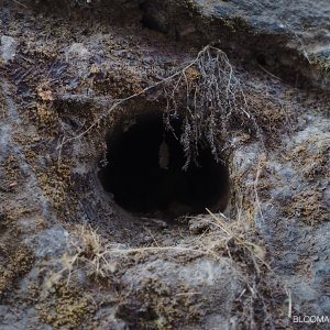 Hidden Little Cave | DPReview Forums
