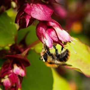 fujinon-xf-50-r-wr | DPReview Forums