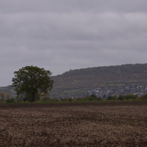 3300 2mal blitz_216 | DPReview Forums