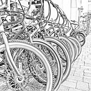 palm-desert | DPReview Forums