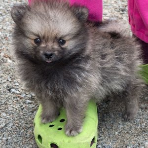 luonto | DPReview Forums